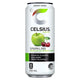 Celsius Energy Drink 330ml – Sportsfuel Supplements NZ